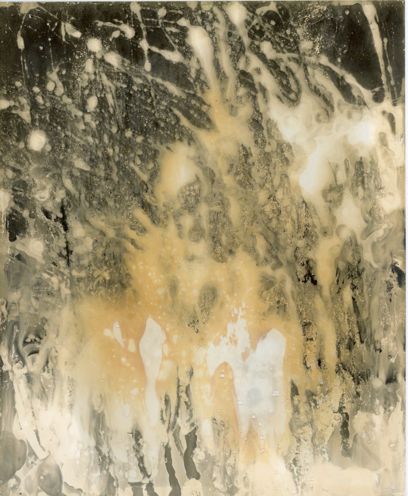 Chemigrams – Hannah Schneider