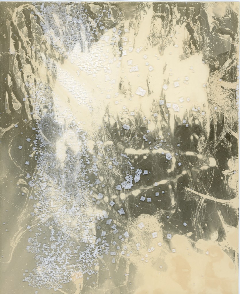 Chemigrams – Hannah Schneider