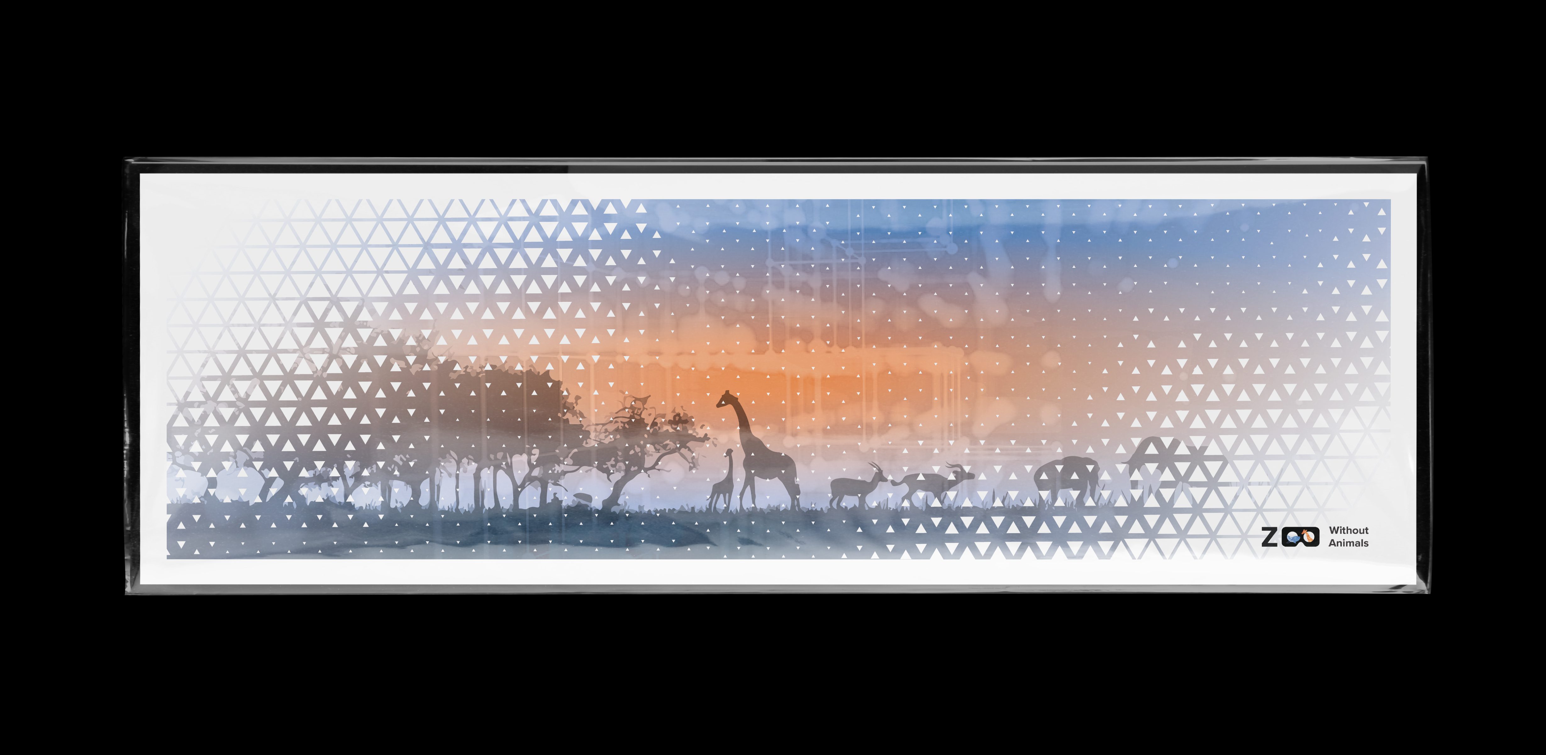 Graphic Design – Hannah Schneider